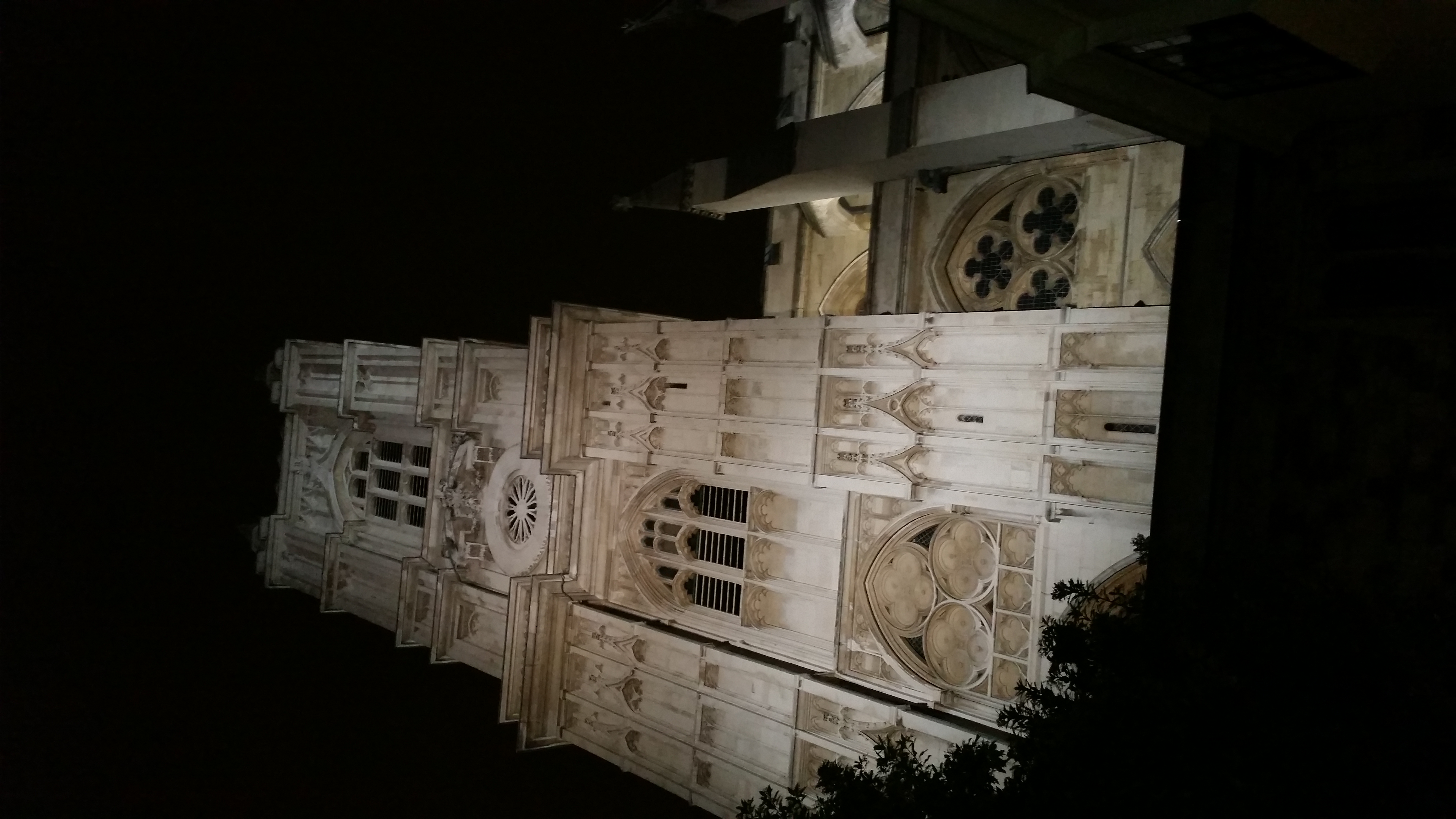 20160303_195759 - Harrison Goldman